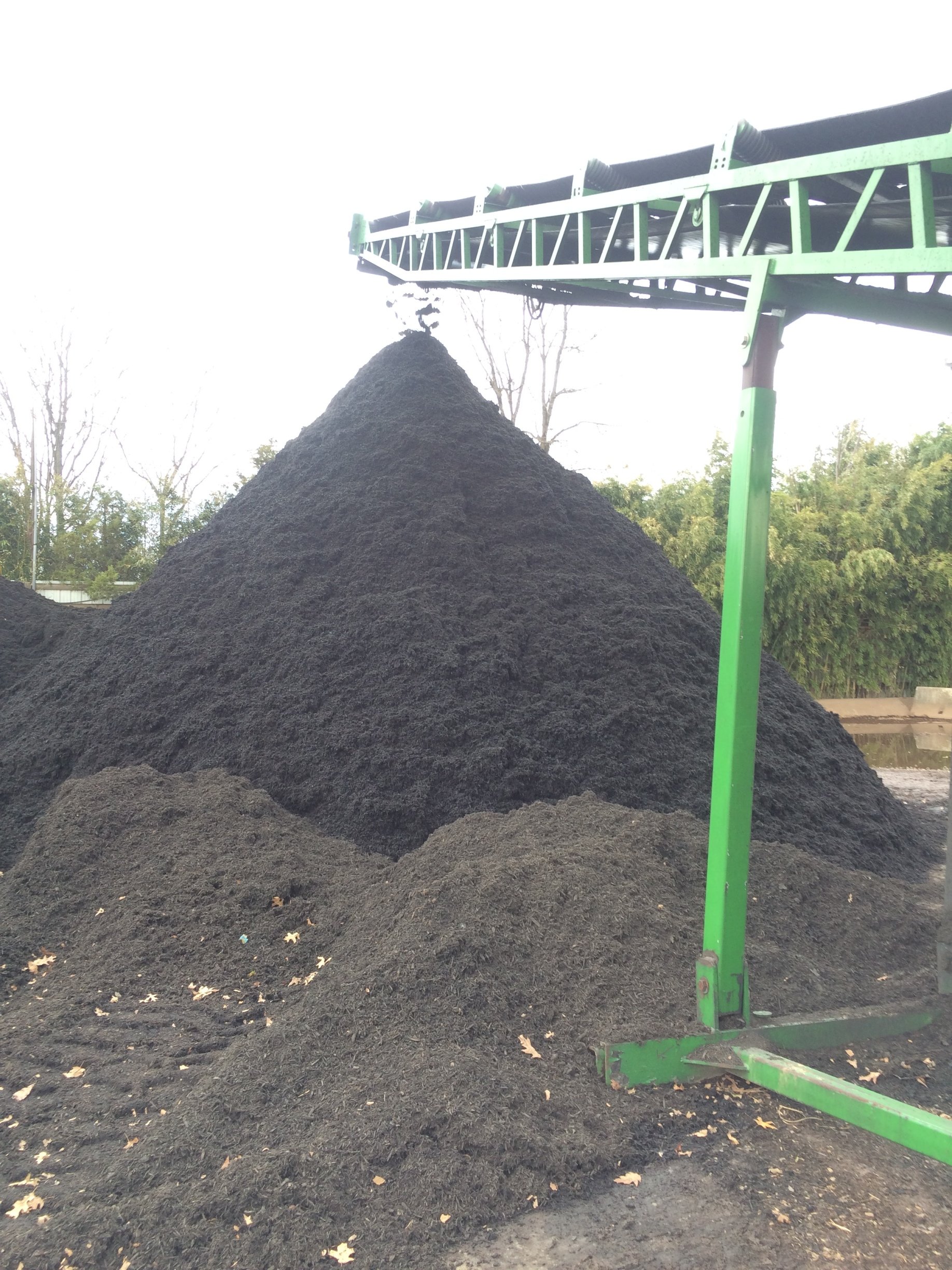 RJS Tree Service | Landscaping | Stump Grinding | Firewood Delivery