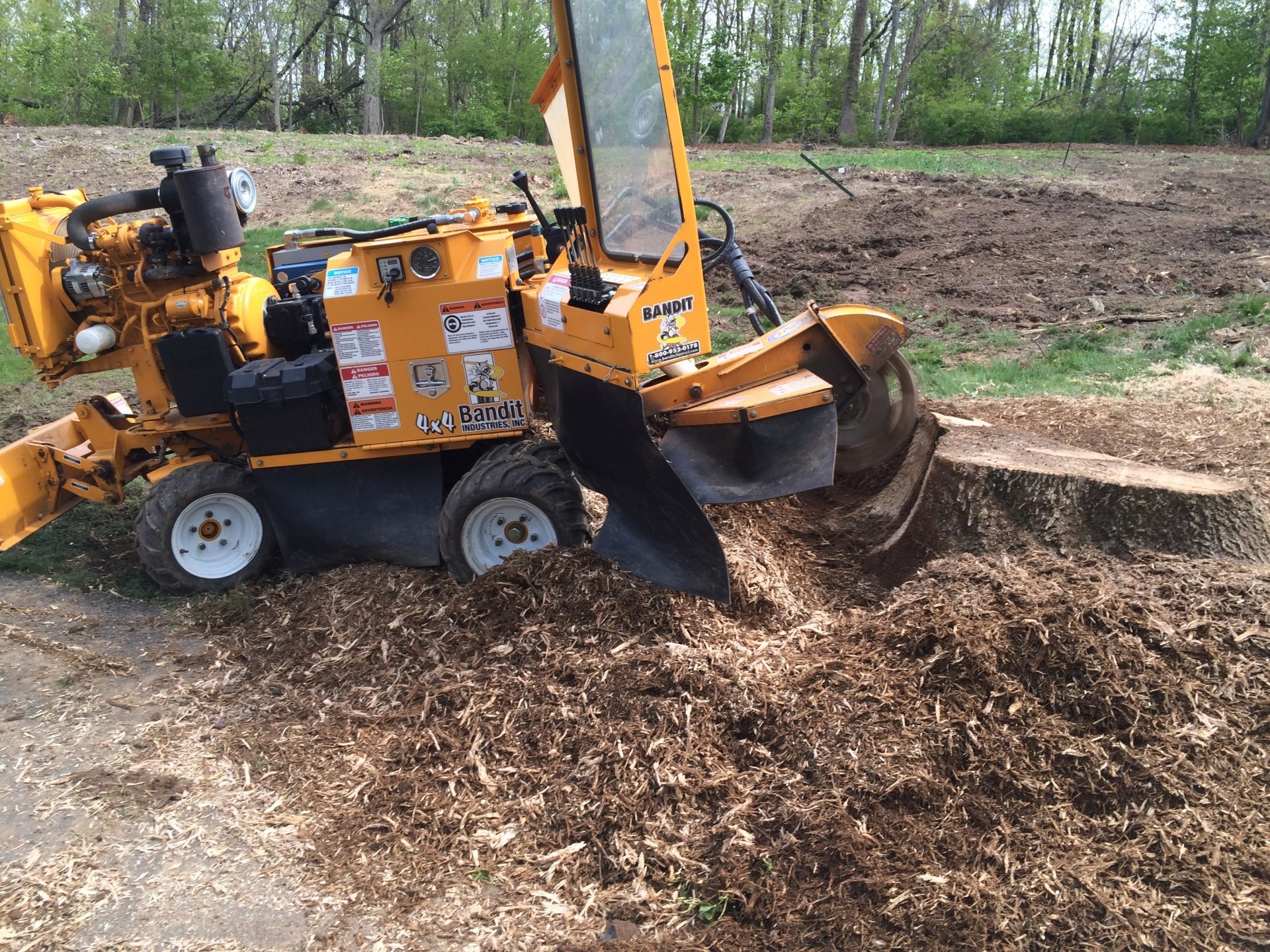 RJS Tree Service | Landscaping | Stump Grinding | Firewood Delivery
