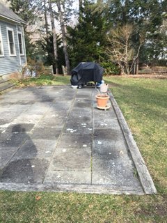 Before and After TLC Painting Gallery