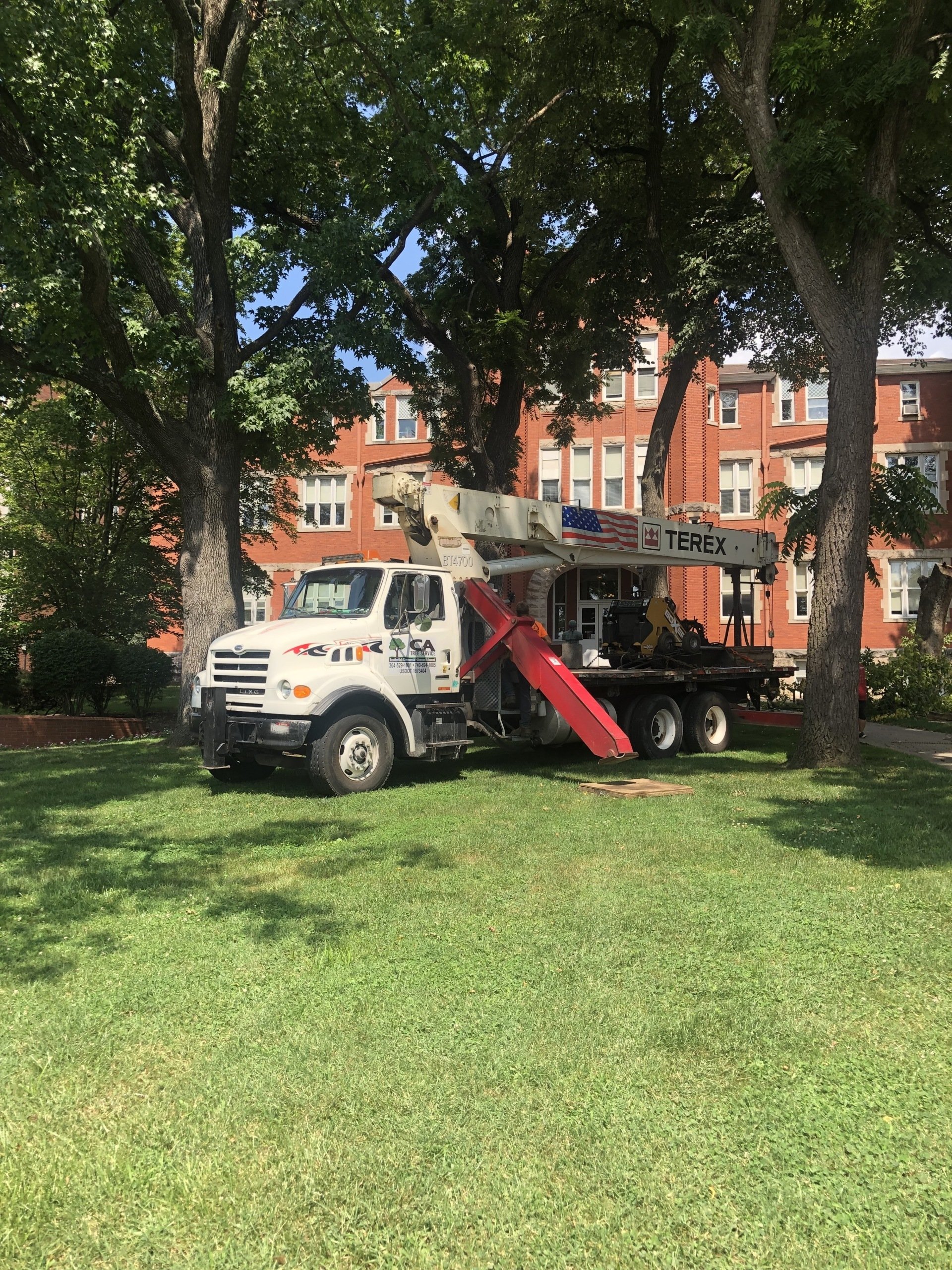 Expert Tree Services | Ashland, KY | C & A Tree Service