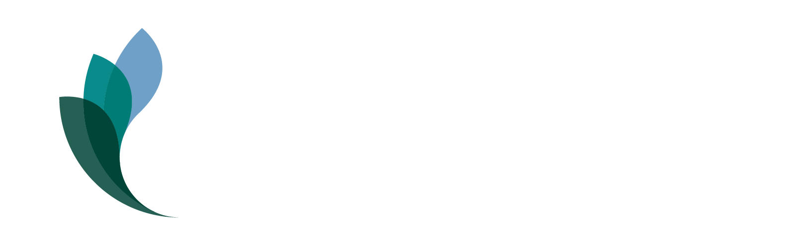 Fostering Healthy Futures Program - Denver