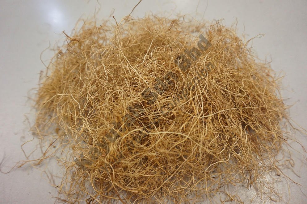 Biomass Drying Expert Malaysia - Kayutah Sdn. Bhd.