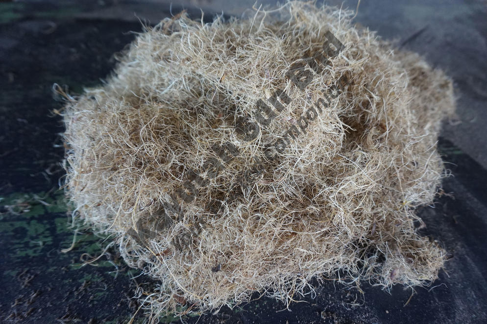 Biomass Drying Expert Malaysia - Kayutah Sdn. Bhd.