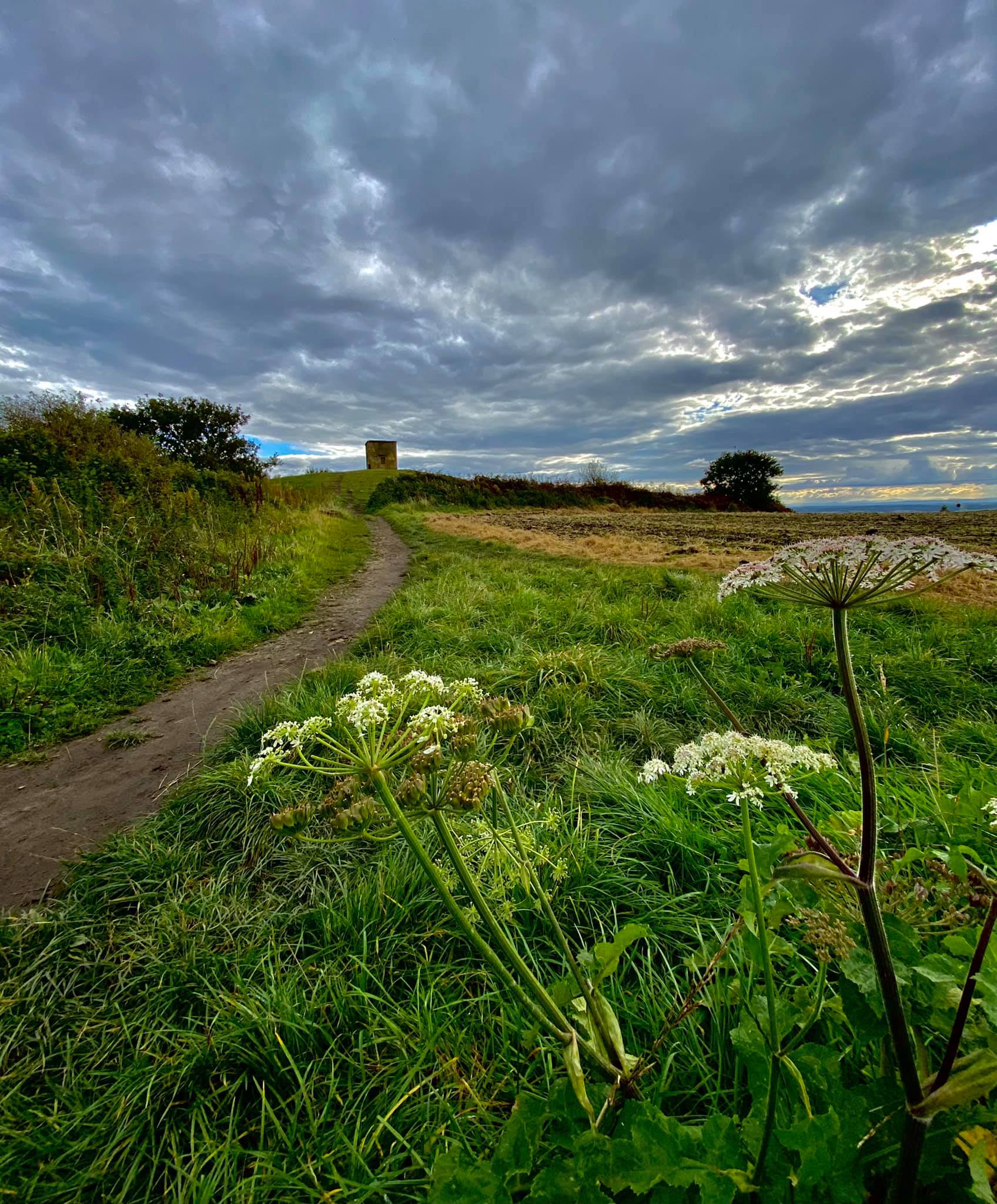 Our Beautiful Village | A Brighter Better Orrell
