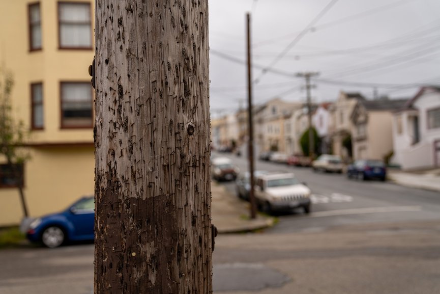 Tips for treating pole damage from termites and woodpeckers