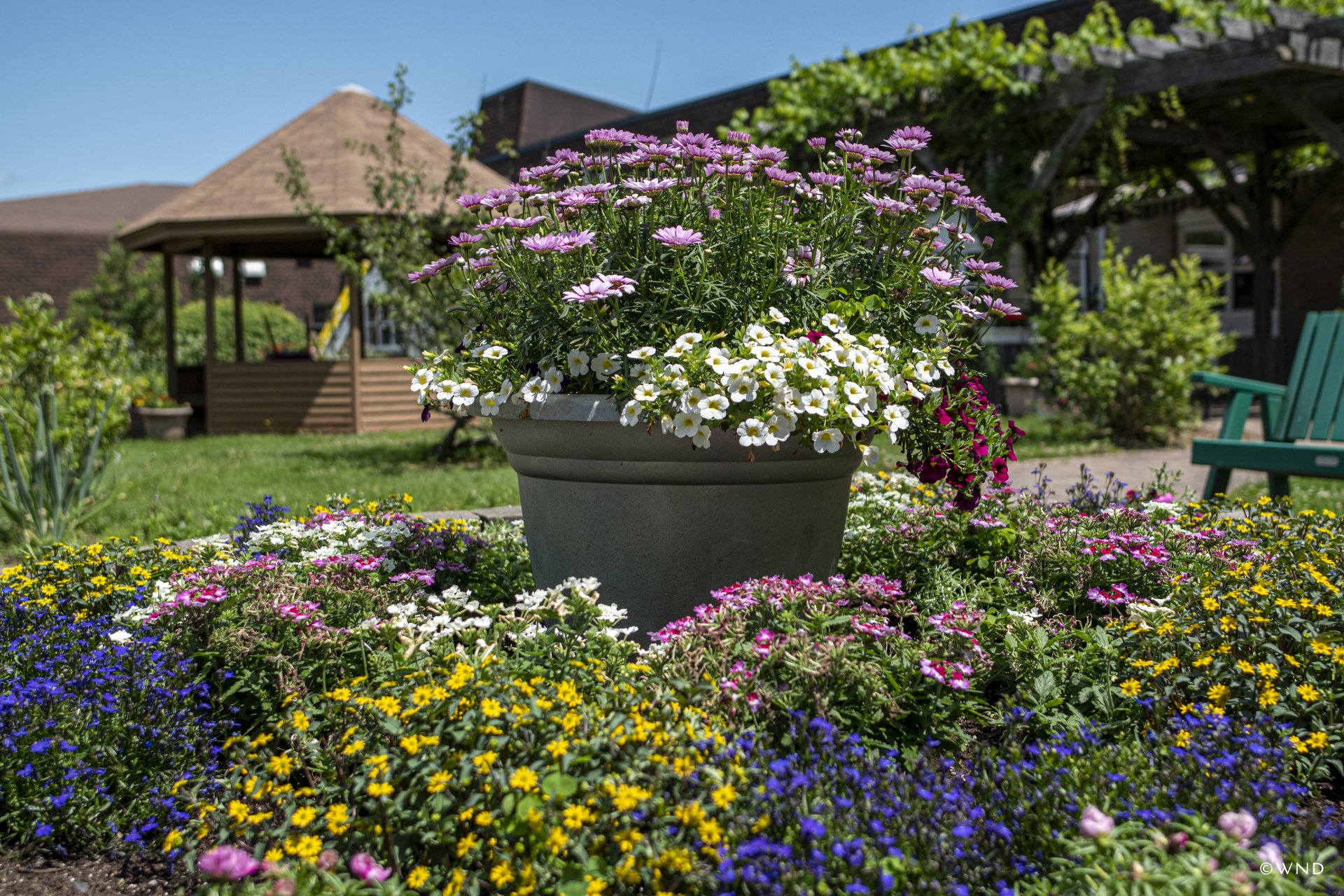 Our Gardens are in full bloom