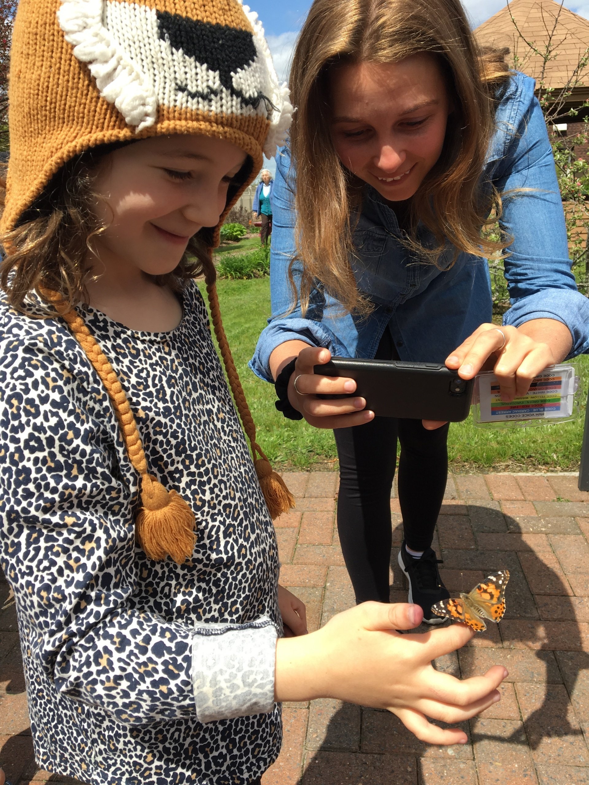 Annual Butterfly Project