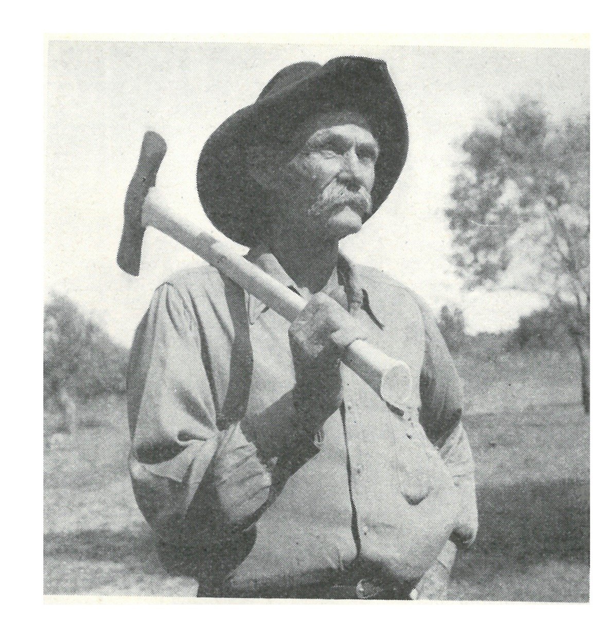 The Cedar Choppers in the Media