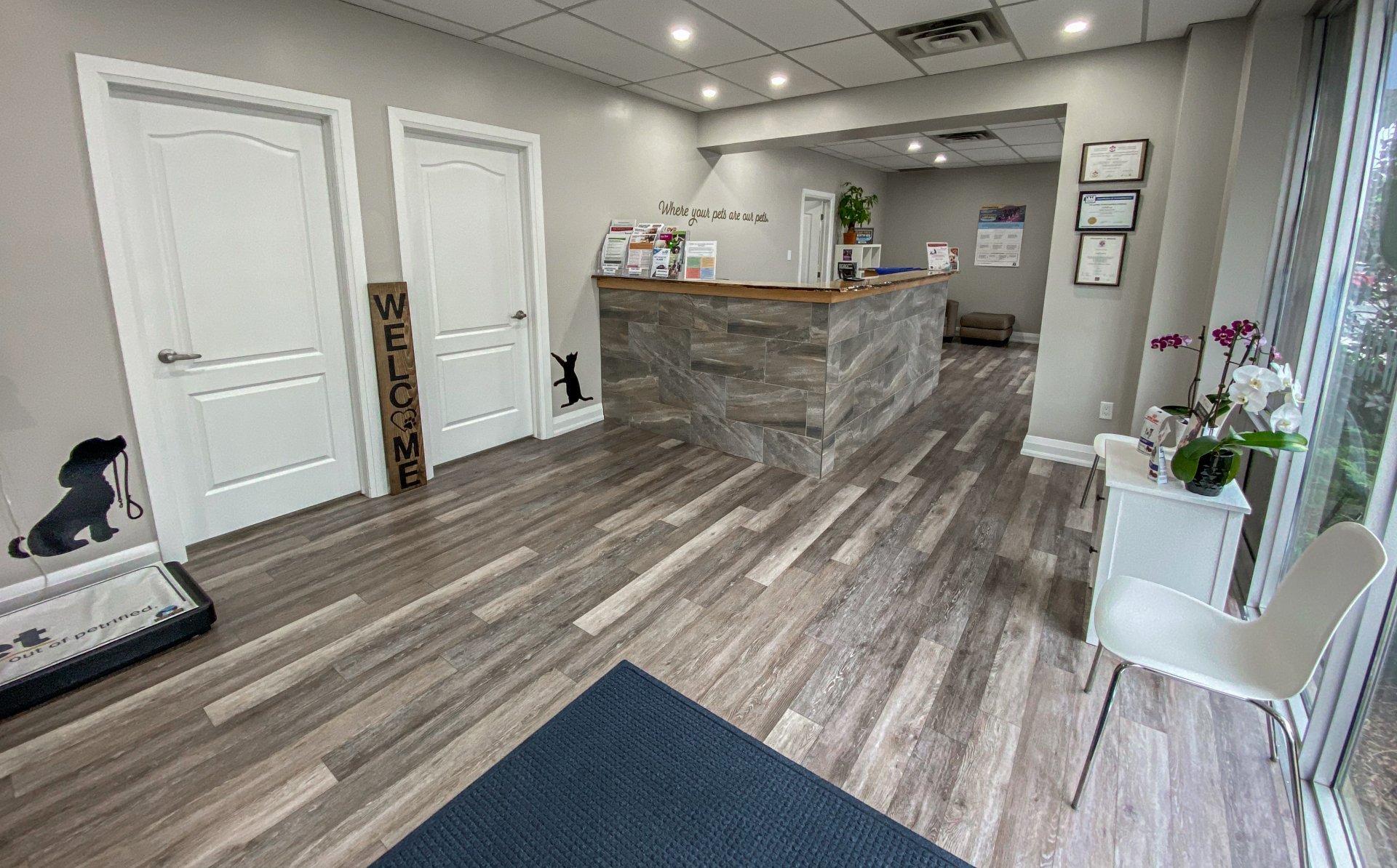 Hospital Tour | Mac Animal Clinic