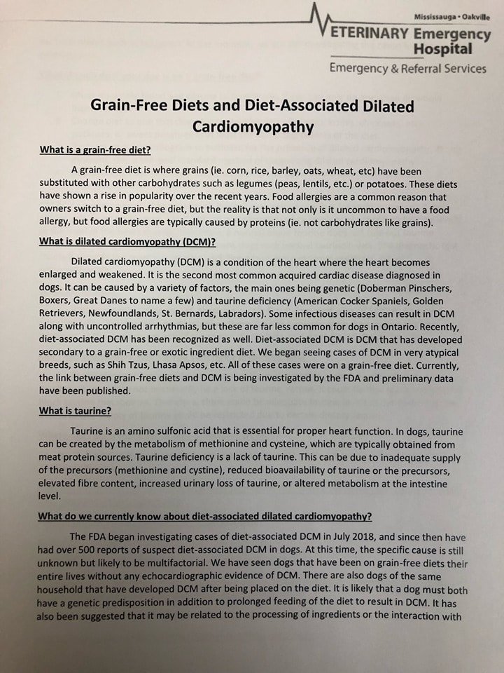 GRAIN FREE DIETS AND DCM