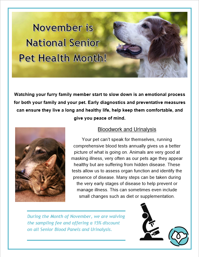 NOVEMBER IS SENIOR PET HEALTH MONTH