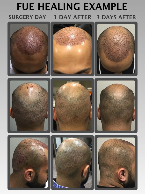 Form Dr 312 Fillable Online - Printable Forms Free Online