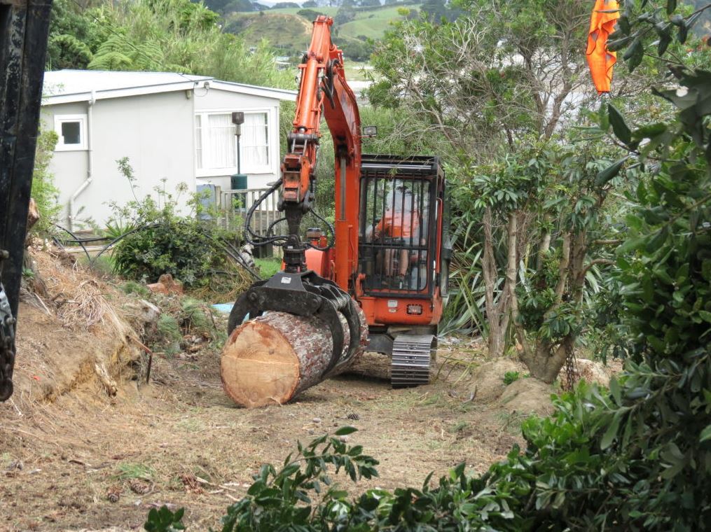 Tree care Franklin - The Treeman