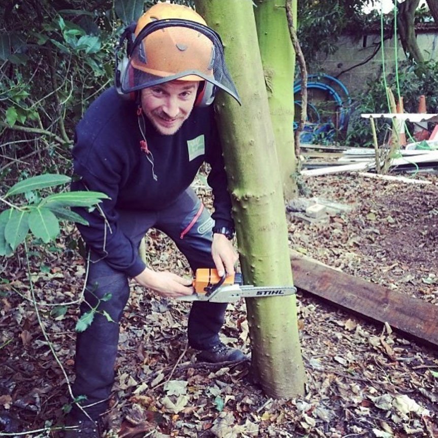 The Tree Management Company | Arborist Gallery