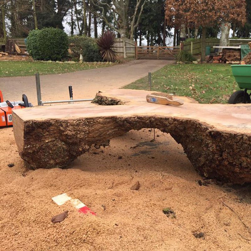 The Tree Management Company | Timber Milling Services