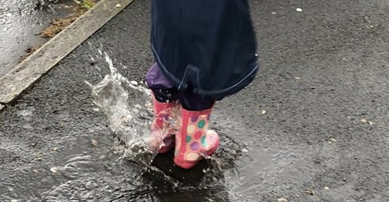 Bee Curious Childcare