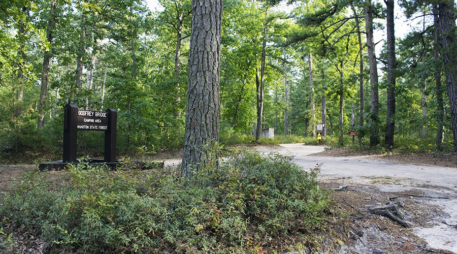Information About Camping | Pinelands, NJ | Micks Canoe & Kayak Rental
