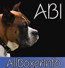 Boxer Dog Degenerative Myelopathy