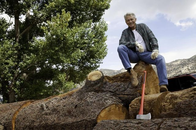 About | Tree Services Huntington