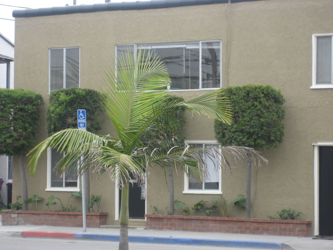 Property Photos - Palazzo Realty Inc.