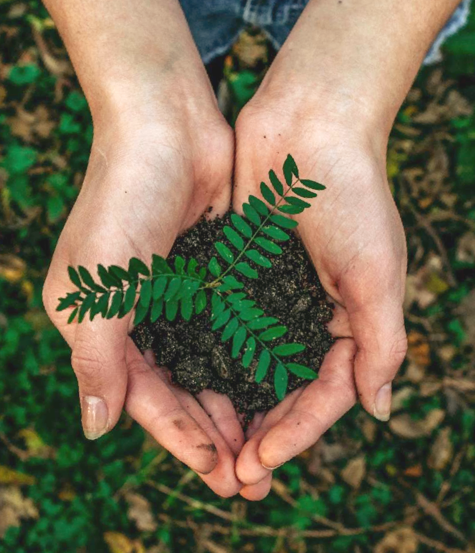 The Nature Generation