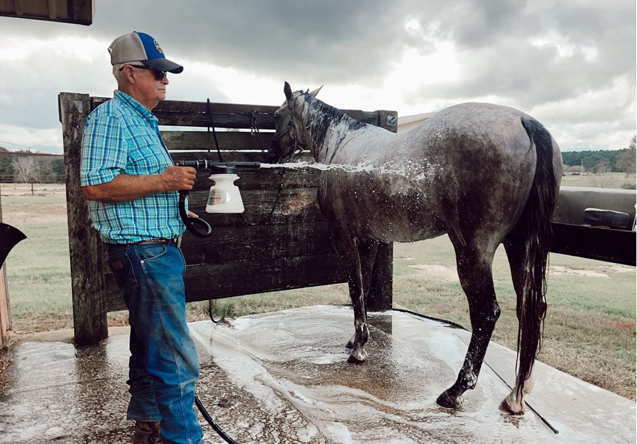 Frequently Asked Questions