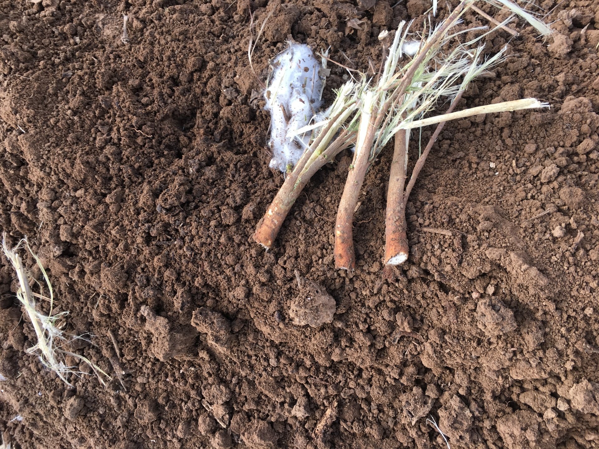 Row Crop Root Cutting Farming Machinery