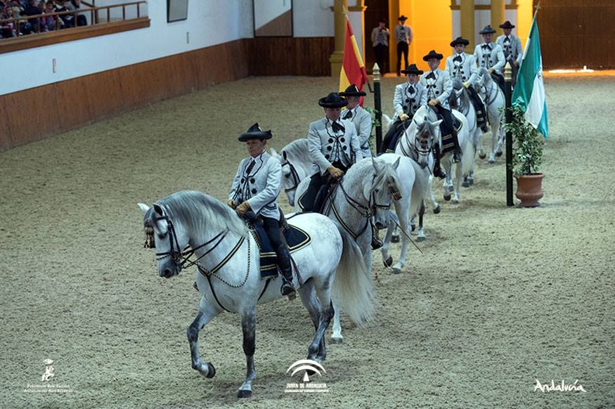 Private Jerez Horse Show from Cadiz | Vip Malaga Tours