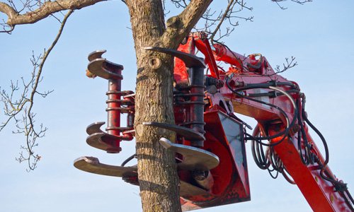 Tree shear hire | Land & Forestry Ltd