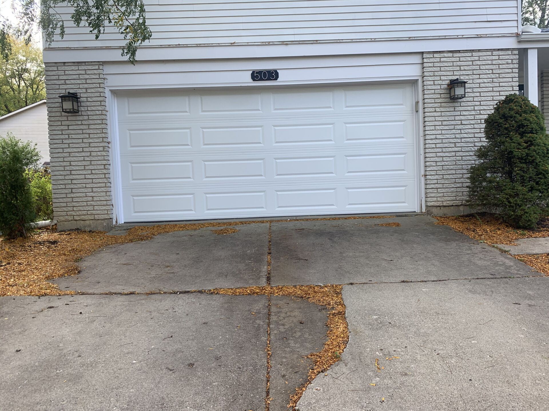 Raised Panel Garage Doors | Chicago Garage Door