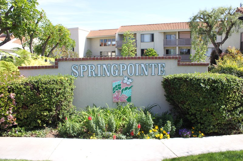 Springpointe - Braemar Management