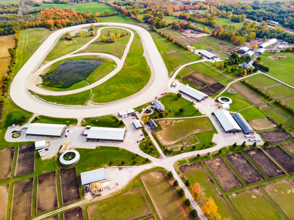 Classy Lane Stables Training Centre