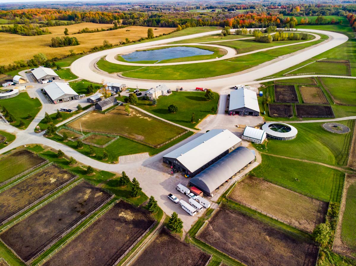 Classy Lane Stables Training Centre
