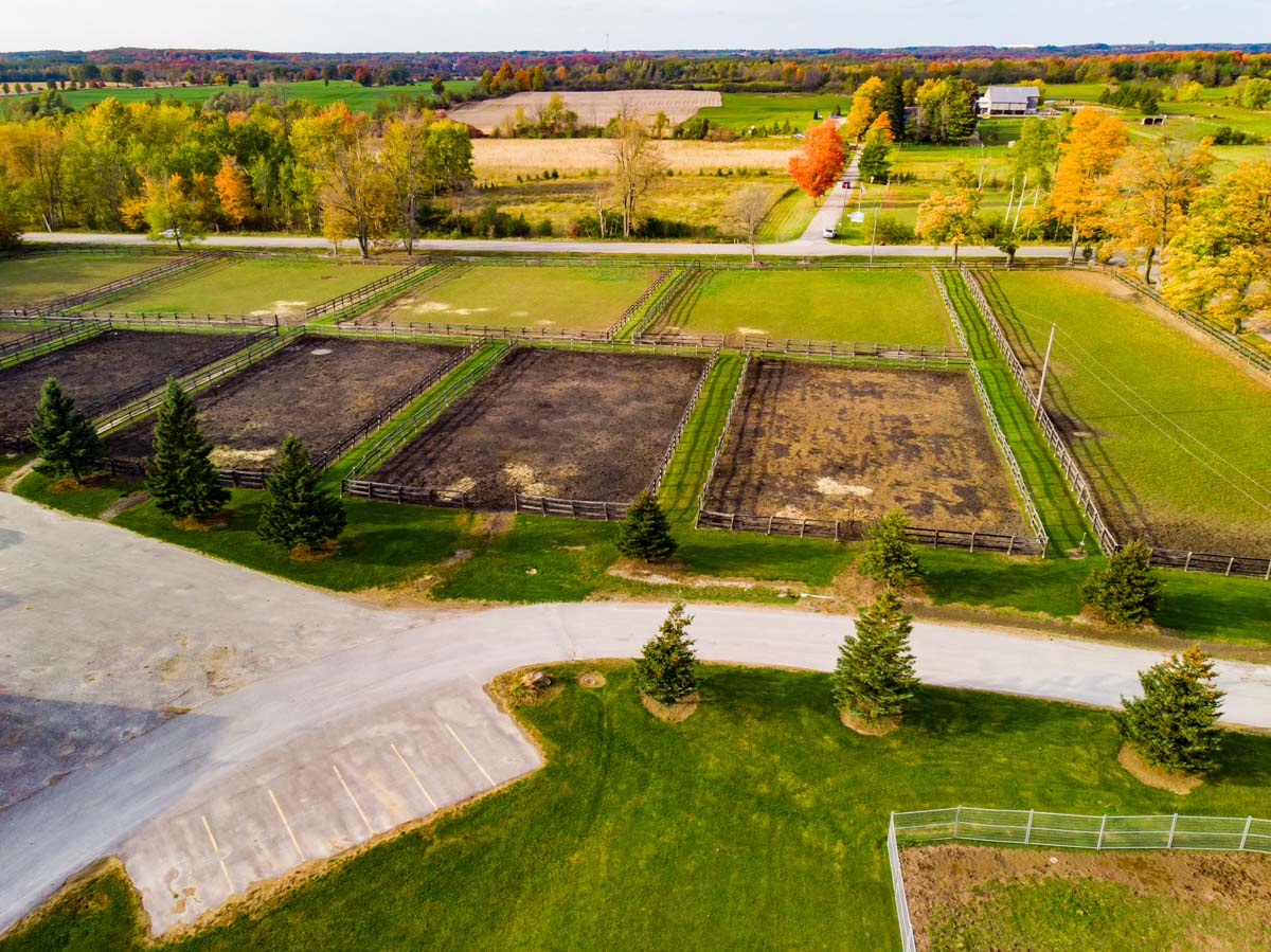 Classy Lane Stables Training Centre