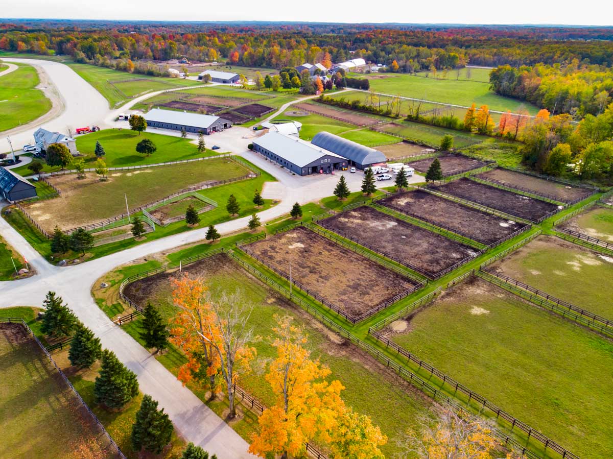 Classy Lane Stables Training Centre