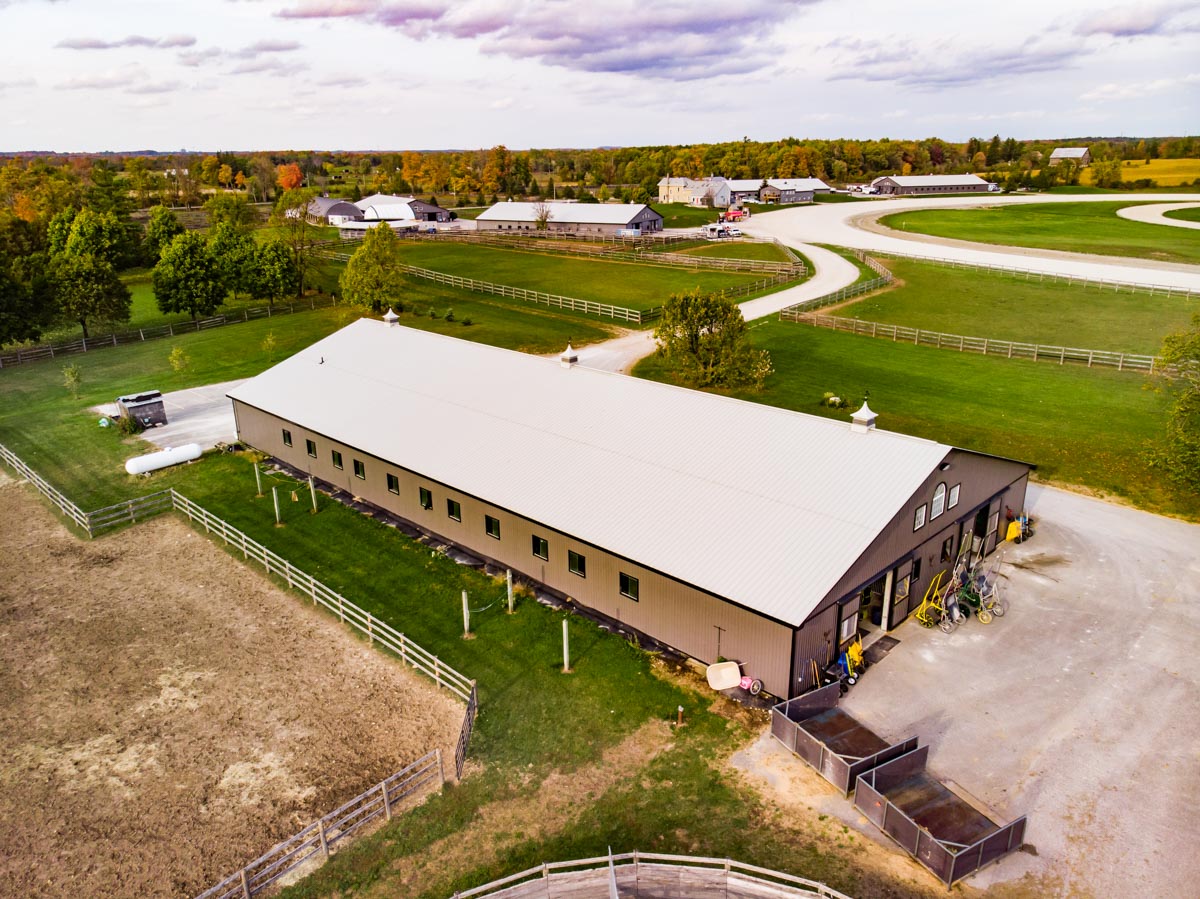 Classy Lane Stables Training Centre