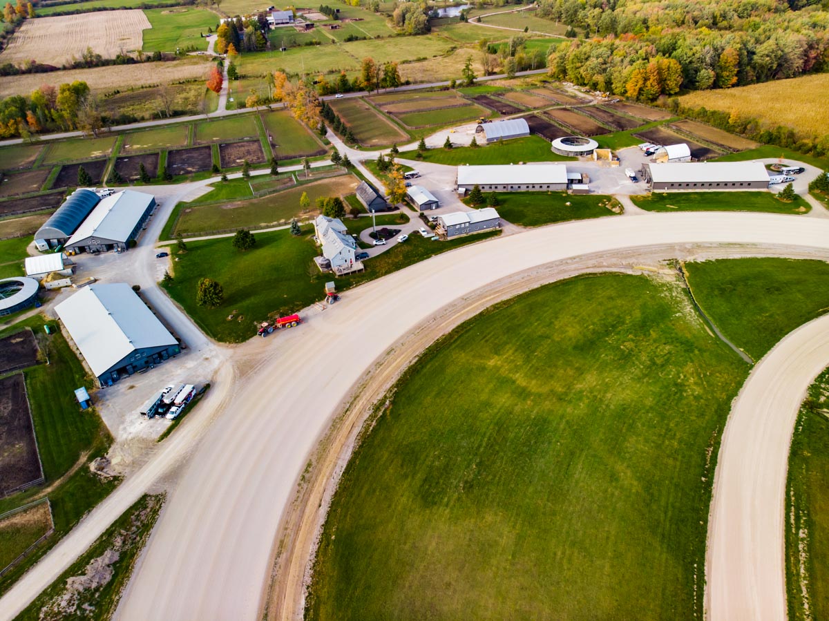 Classy Lane Stables Training Centre