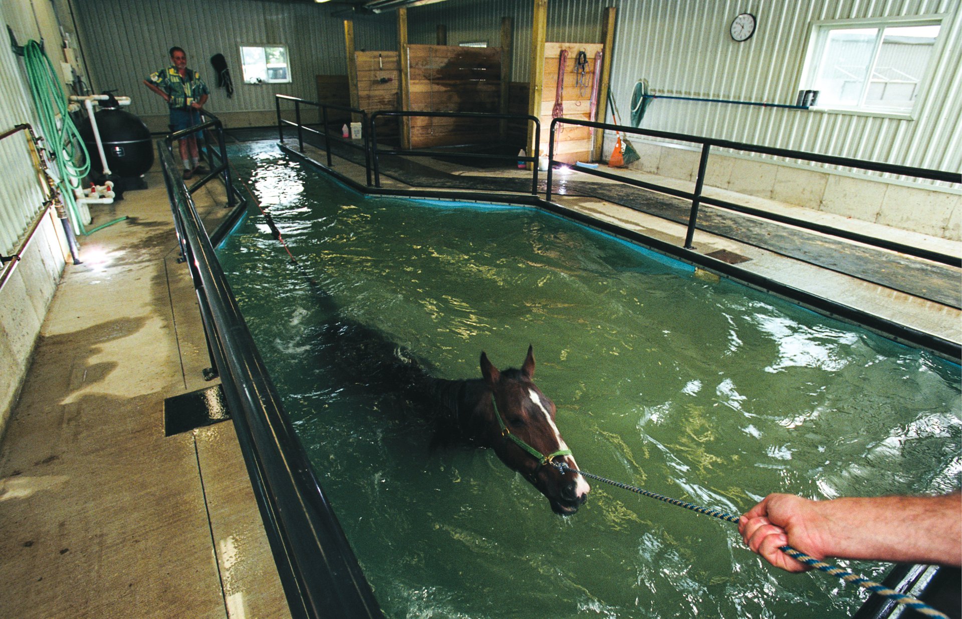 Classy Lane Stables Training Centre