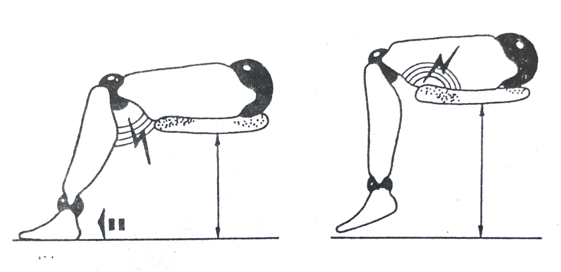 Are you sitting comfortably?