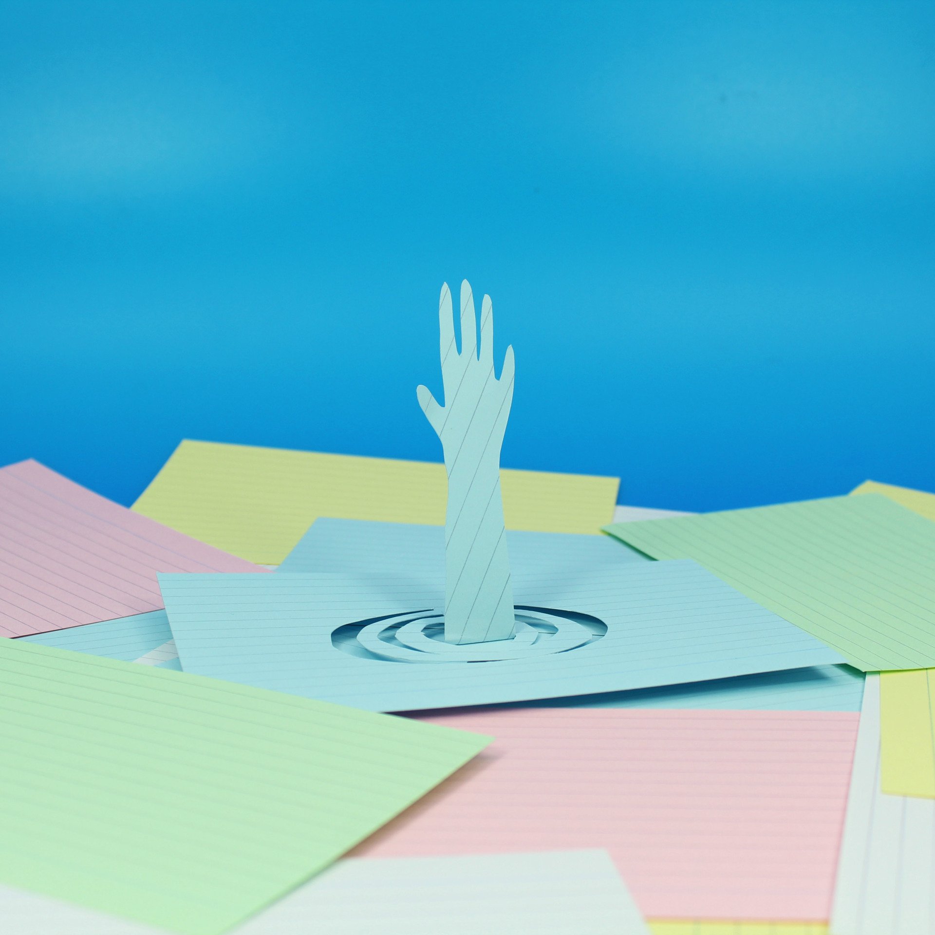 Silvine - New products