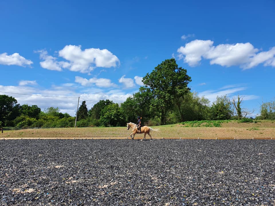 Barge Farm Equestrian, Taplow Berkshire