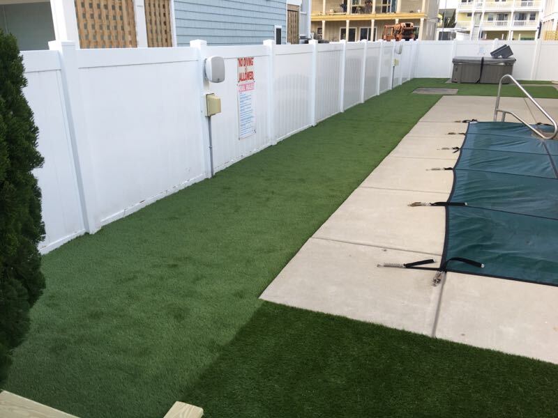 Selection Guide for Plants and Beds