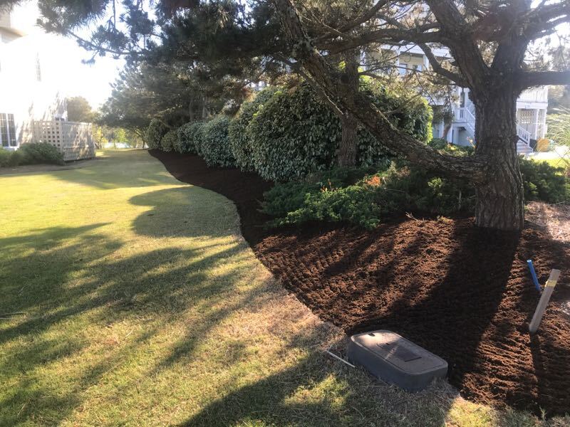 Mulch Examples