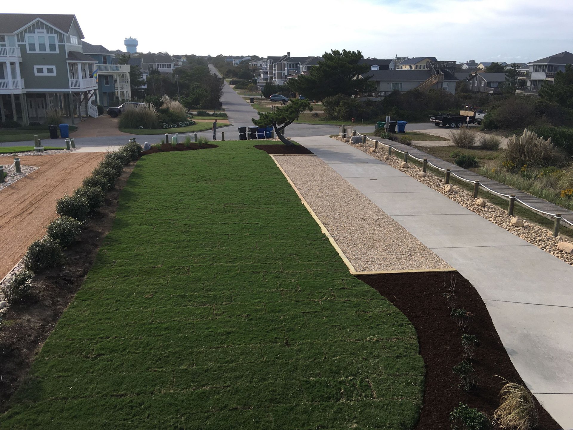 Turf and Sod Examples