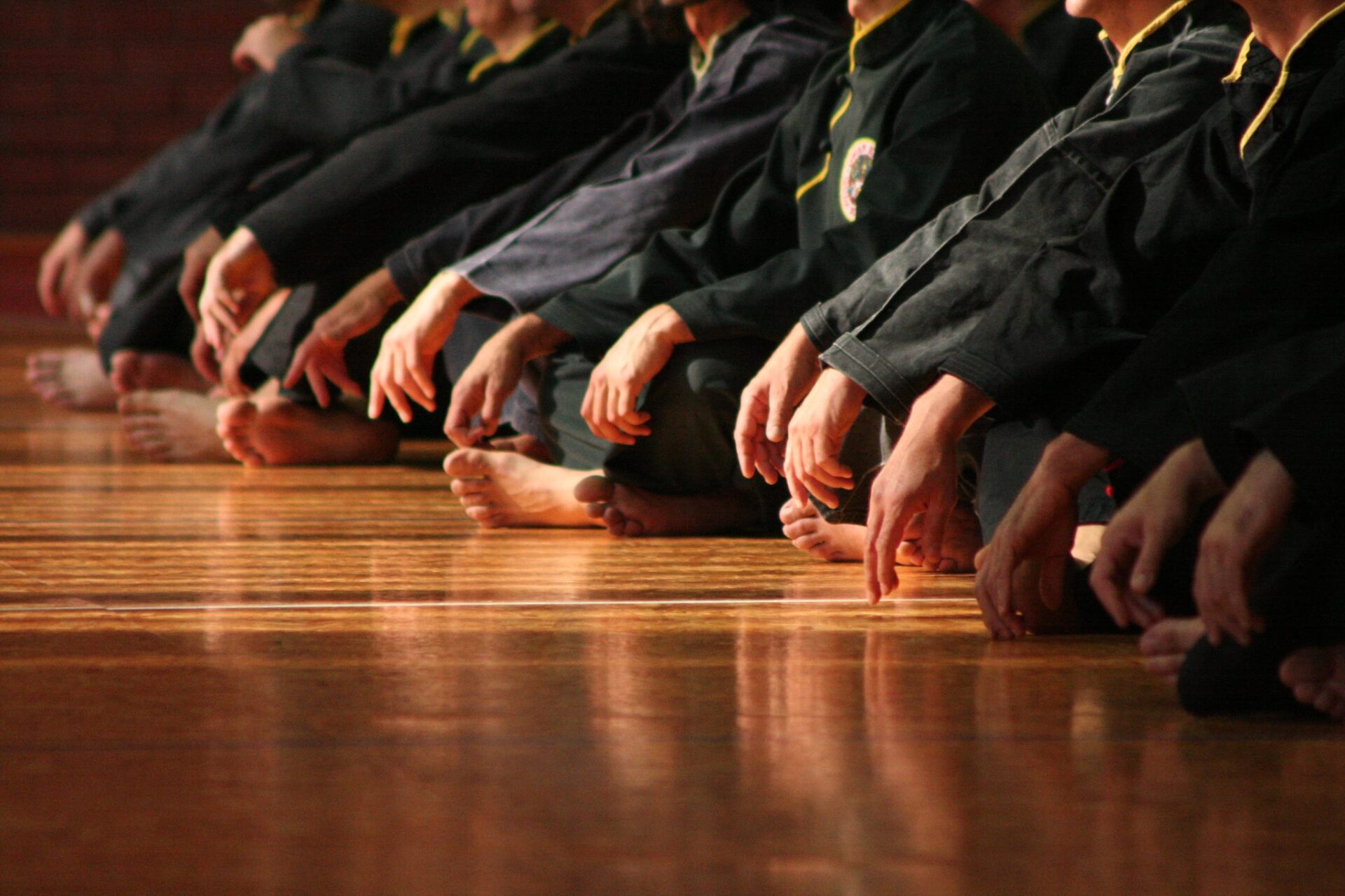 QWAN KI DO WORLD UNION SINO VIETNAMESE MARTIAL ART