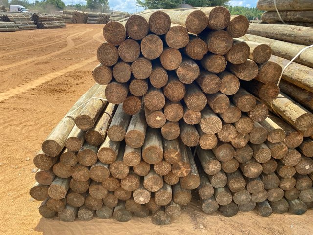 Martin Farm & Ranch Supply - Posts - CCA Treated