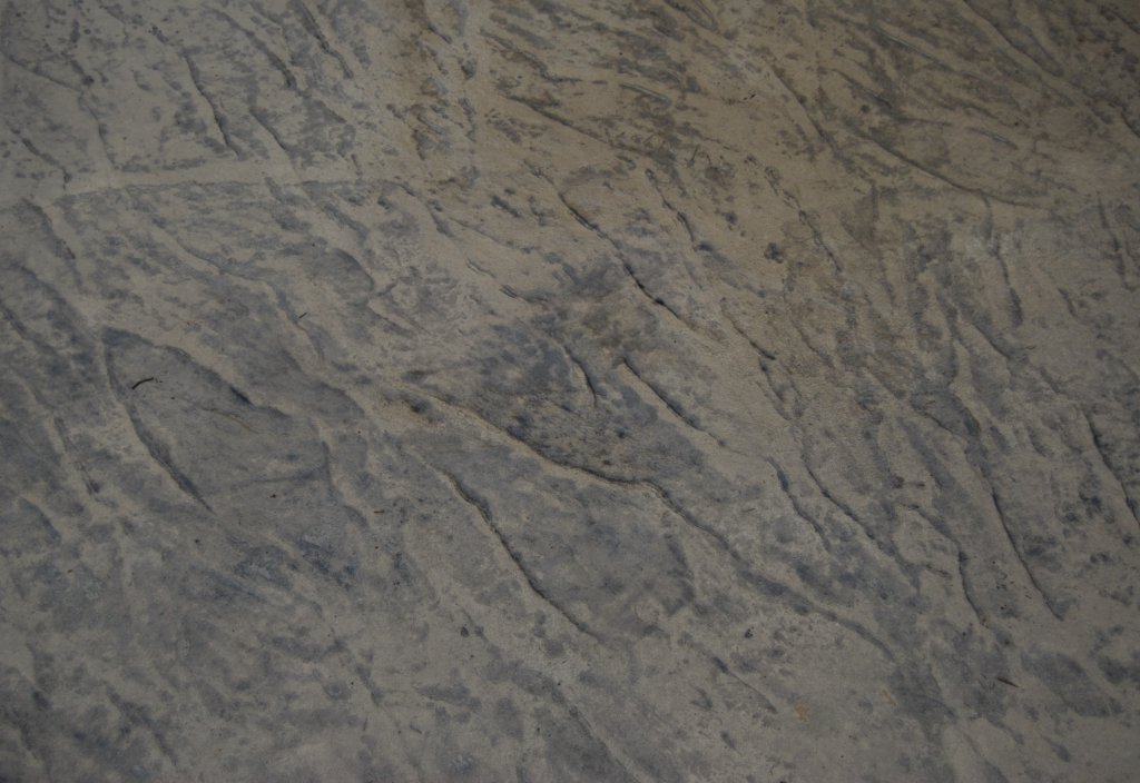 Textured Concrete | Asheville NC | Carolina Concrete Design
