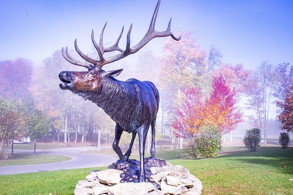 Medix Run Lodges | Cabin Rentals in Benezette PA