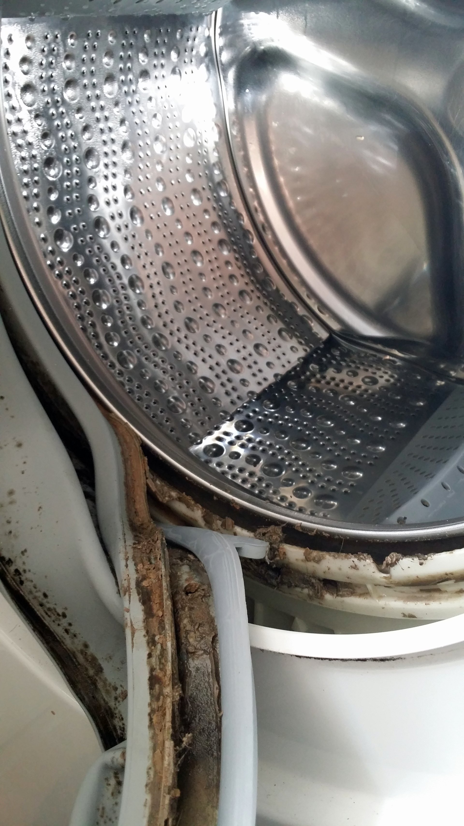 Fixed cost labour appliance repairs