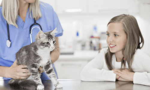 Pet care services | Little Hoppers Vets